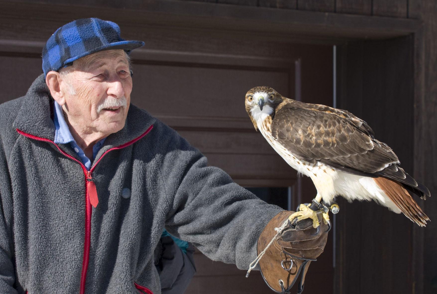 Bert and a Hawk – Friends of Bert Raynes